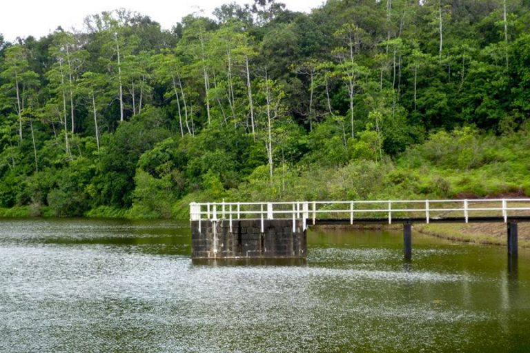 Hiyare Reservoir Rain Forest | Attractions in Sri lanka
