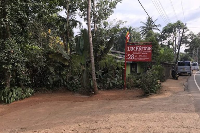 Luck Grove Spice Garden | Attractions in Sri lanka
