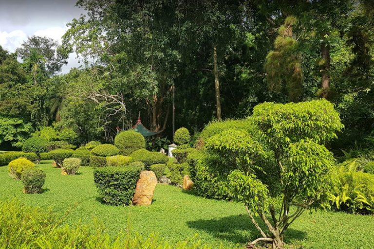 Gampaha Botanical Garden | Attractions in Sri lanka