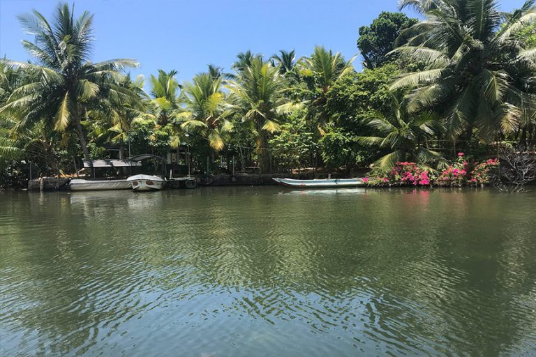 Kalapuwa Herbal Garden | Attractions in Sri lanka