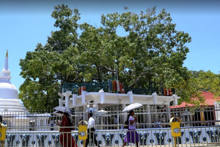 Matara Bodhiya | Attractions in Sri lanka