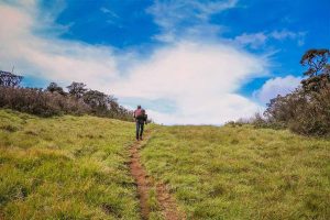 Chariot Path | Attractions in Sri lanka