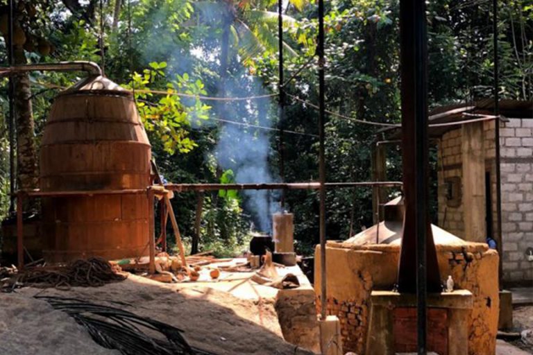 Cinnamon Island | Attractions in Sri lanka