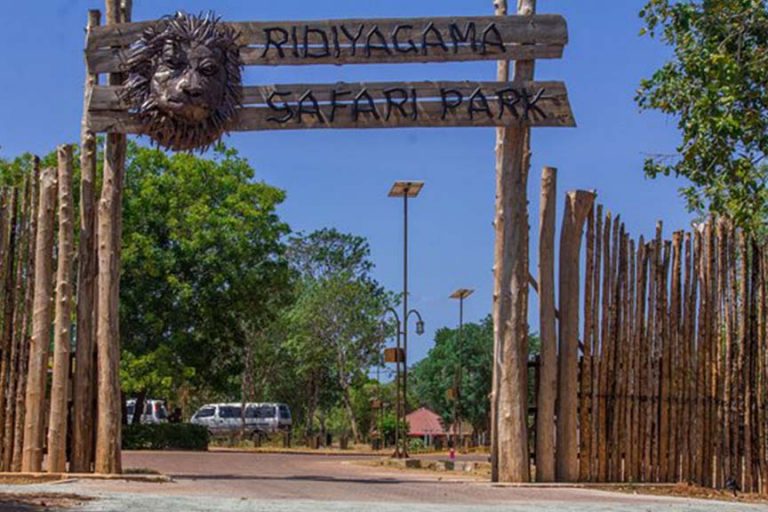 Ridiyagama Safari Park | Attractions in Sri lanka