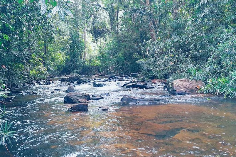 Kaluwarathenna Natural Pool | Attractions in Sri lanka